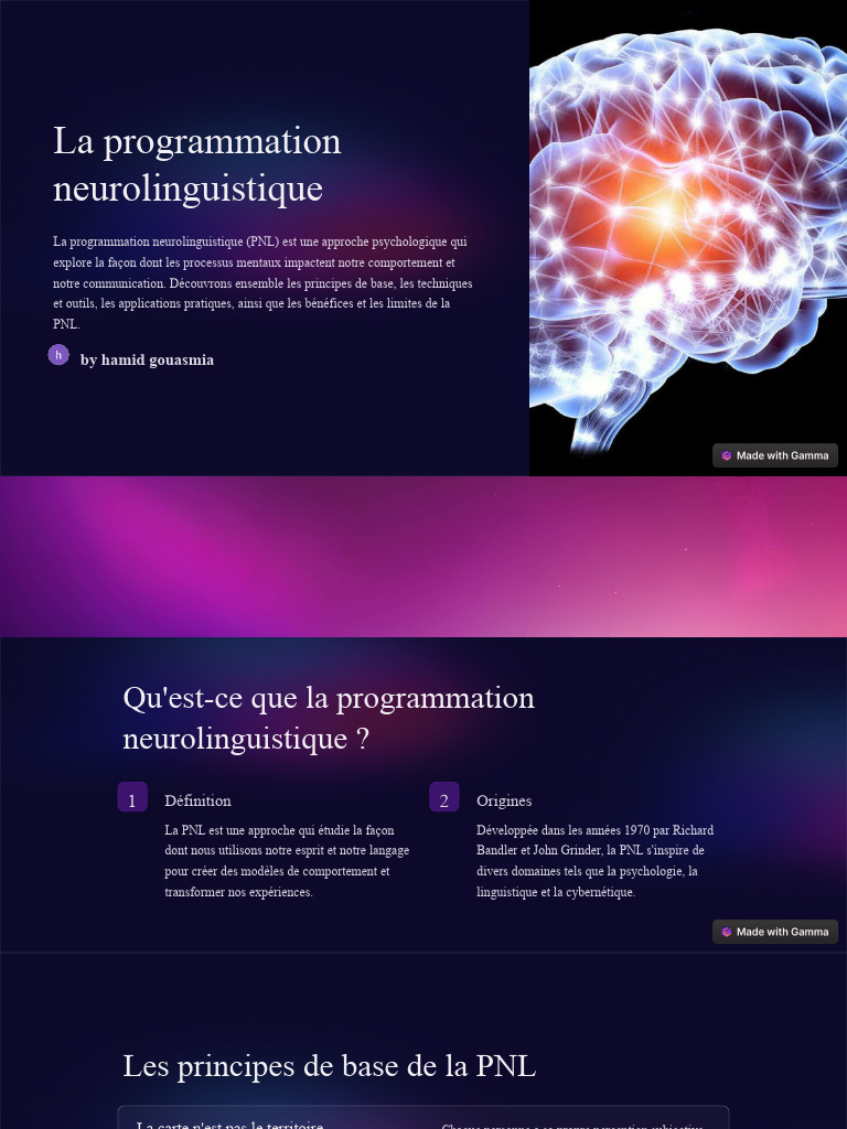 La Programmation Neurolinguistique | PDF | Programmation neuro-linguistique | Concept de psychologie