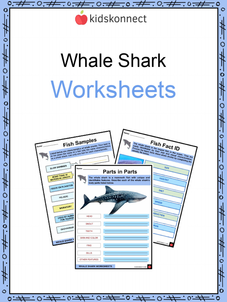 Whale Shark Facts and Worksheets | PDF