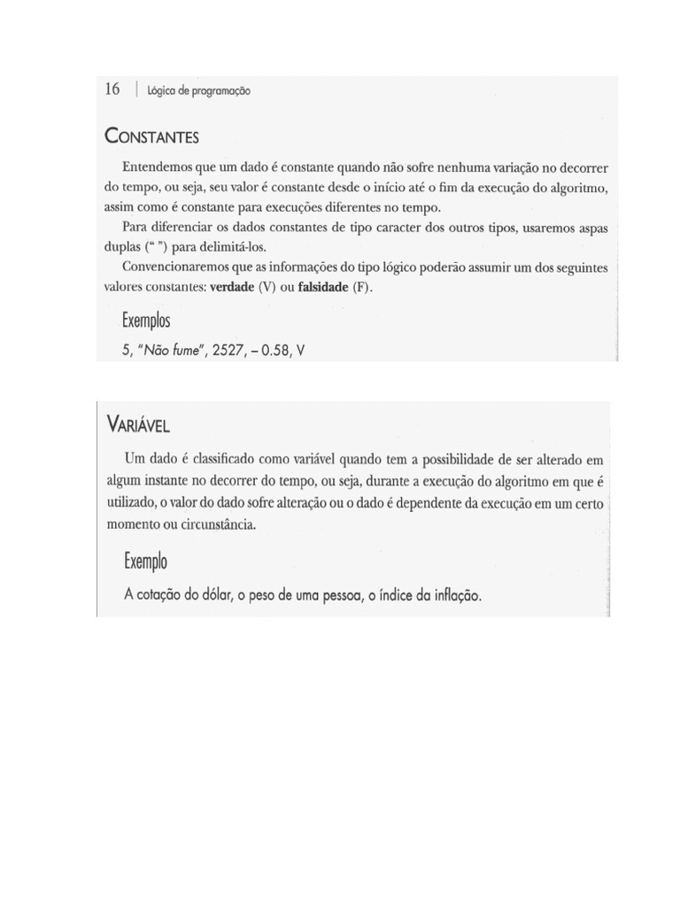 Algoritmos e Programacao Pdfss | PDF