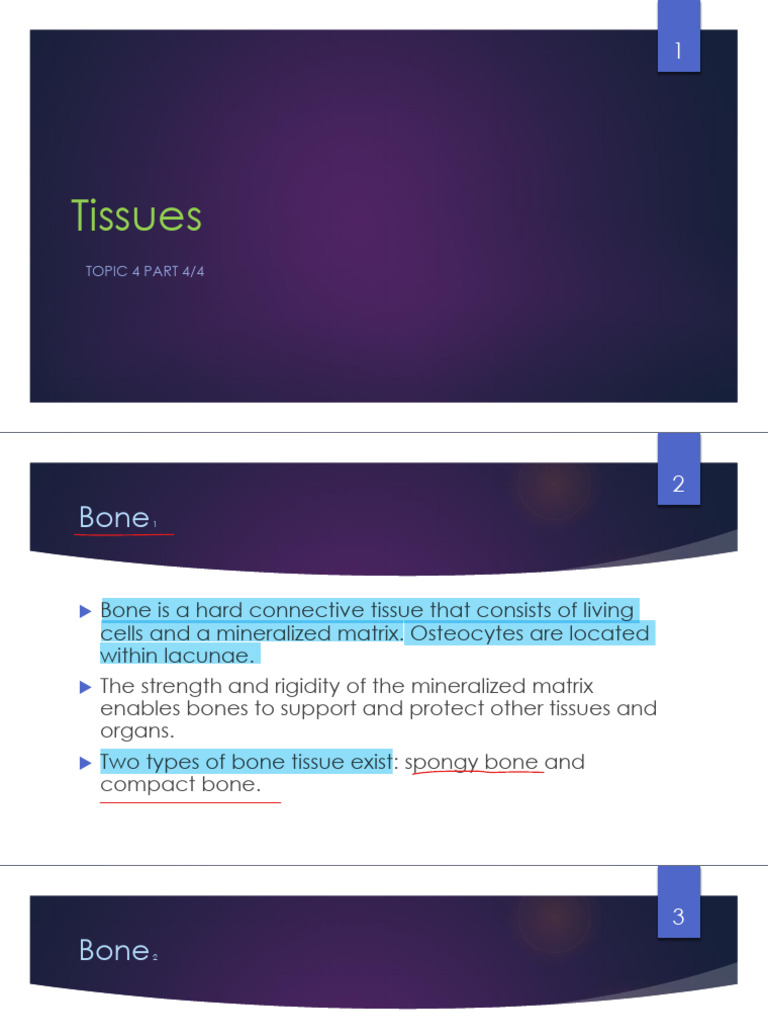 Tissues Part 4 of 4 | PDF | Self-Improvement