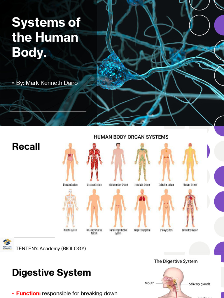 Nmat Biology - 2 - Organ System Part 1 | PDF | Wellness