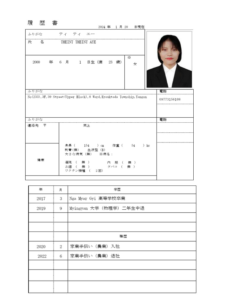 Theint Theint Aye | PDF