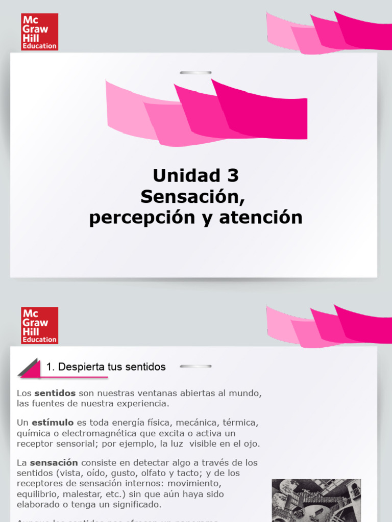 U03 Prs 01 | PDF | Sentidos | Percepción