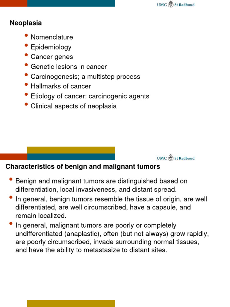 2024 Neoplasia | PDF | P53 | Carcinogenesis