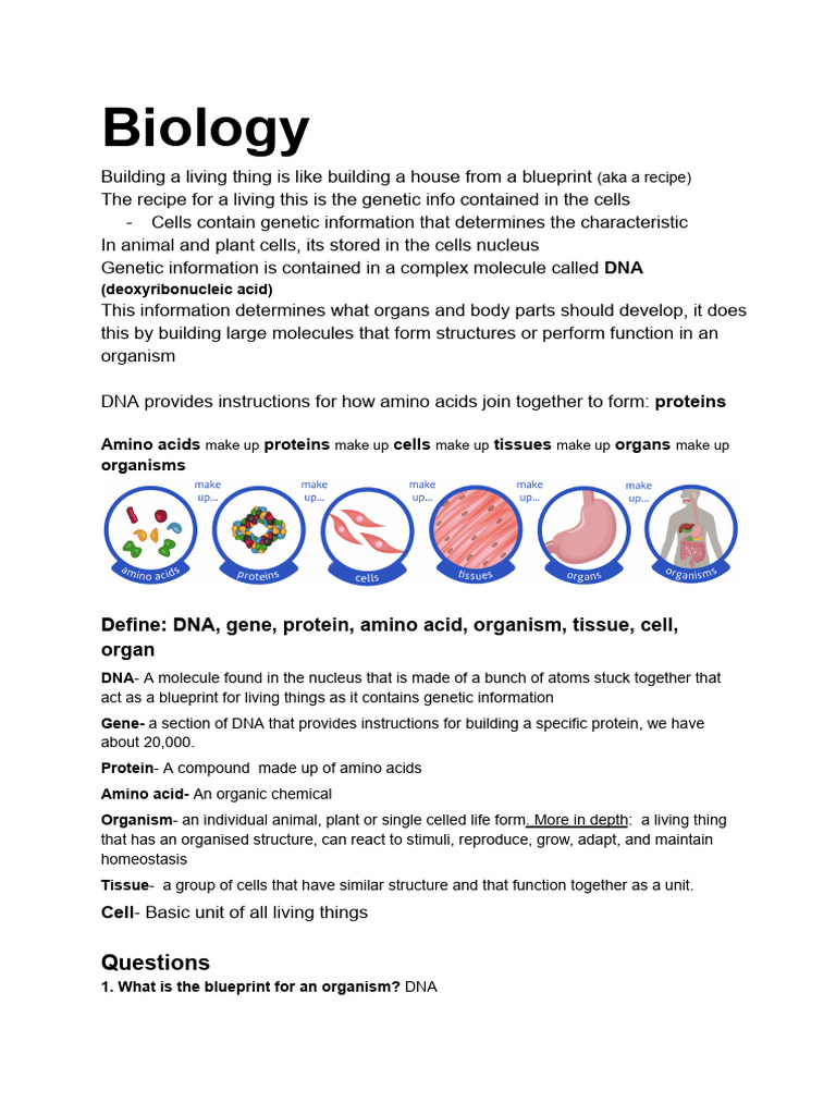 Biology Year 10 | PDF | Evolution | Genetics