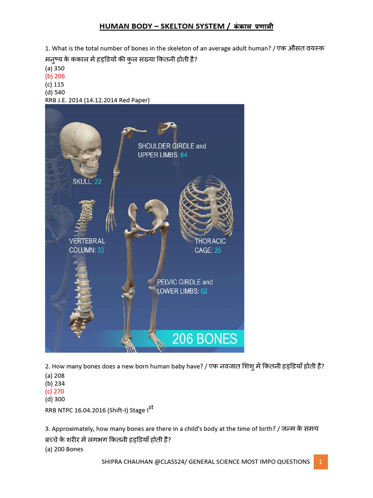 Skeleton System Questions | PDF