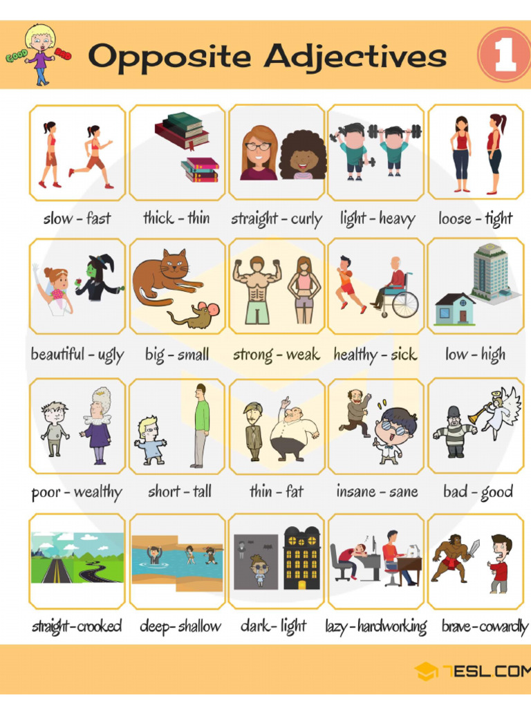 Opposite Adjectives | PDF