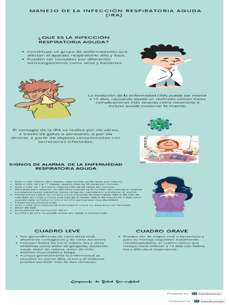 Infografia de IRA | PDF