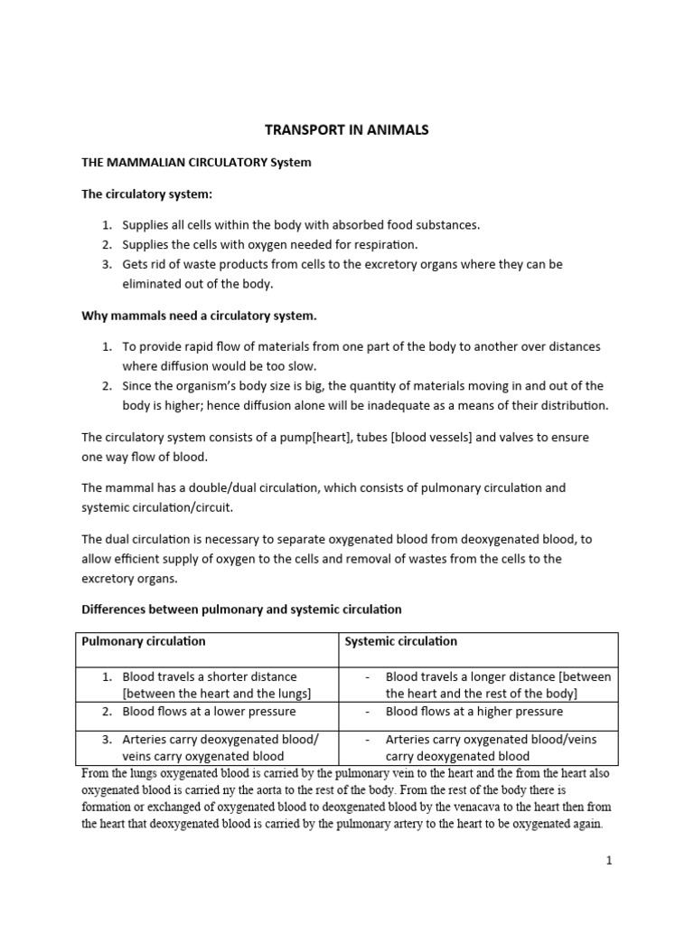 Circulatory System | PDF | Atrium (Heart) | Heart Valve