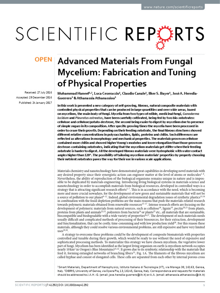 Advanced Materials From Fungal Mycelium: Fabrication and Tuning of ...