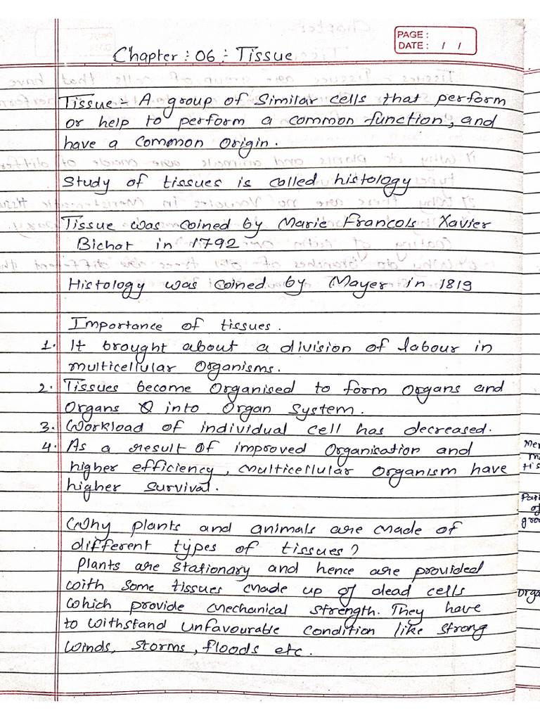 Tissue Class 9 | PDF