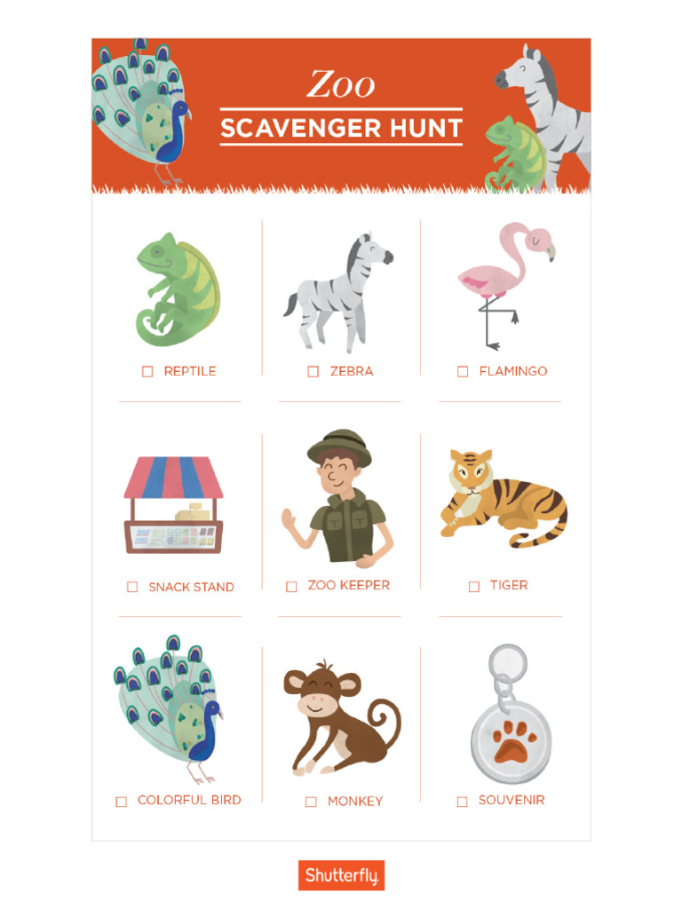 Zoo Photo Scavenger Hunt | PDF