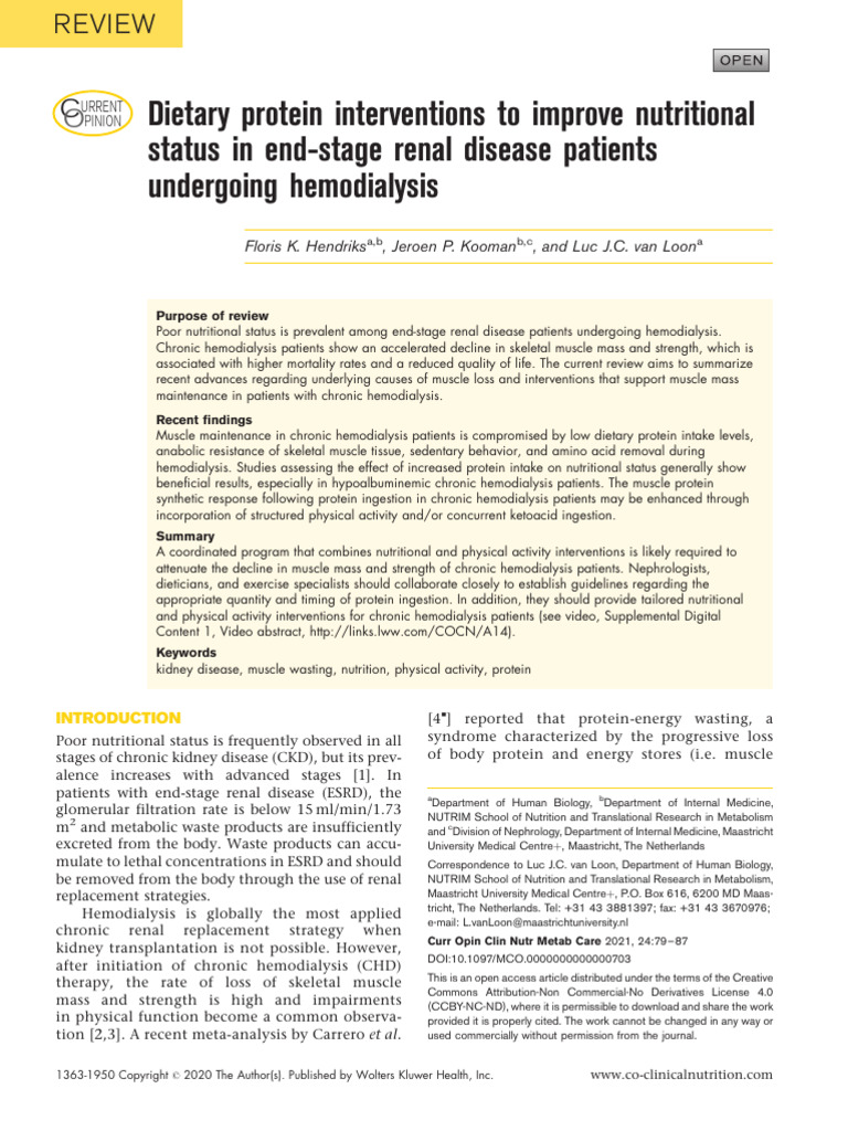 Dietary Protein Interventions To Improve Nutritional Status in End ...