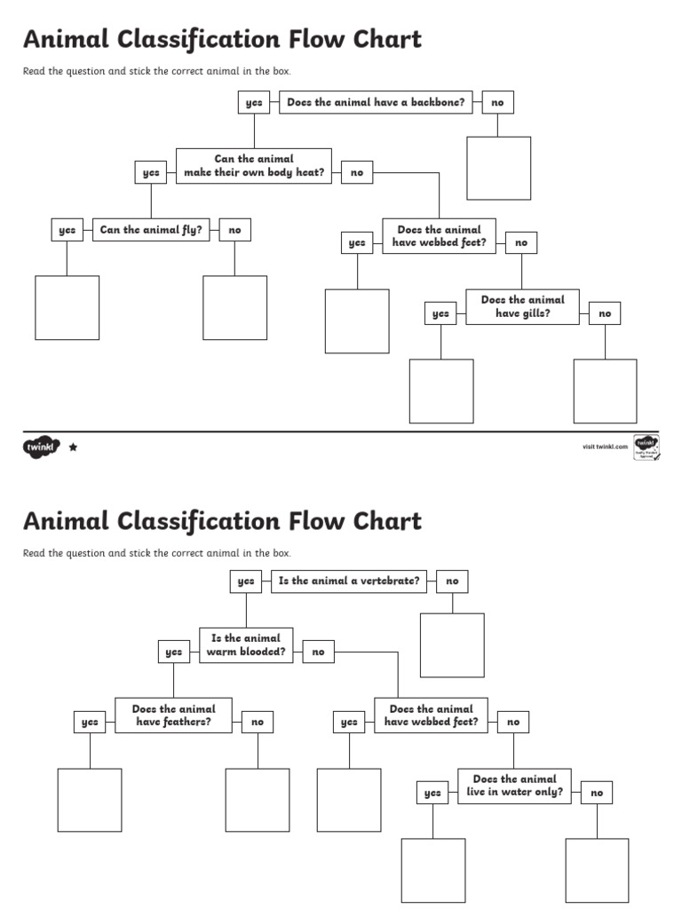 Year 4 Science Activity | PDF | Zoology
