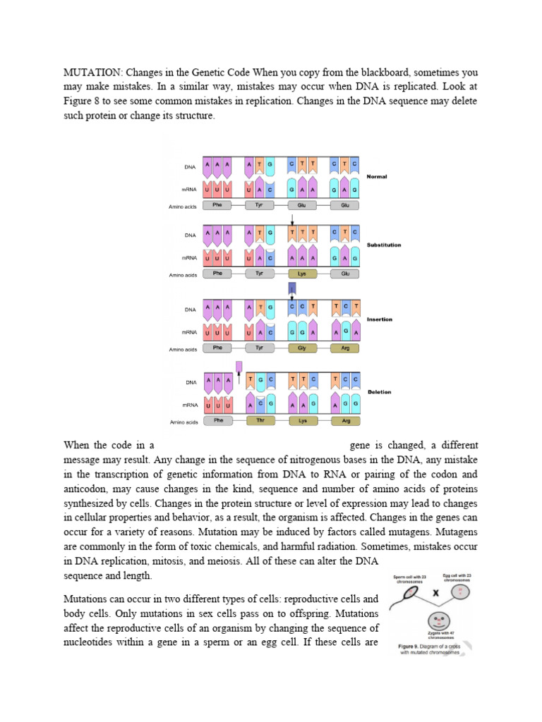 CHROMOSOMAL MUTATION Lecture | PDF | Mutation | Gene