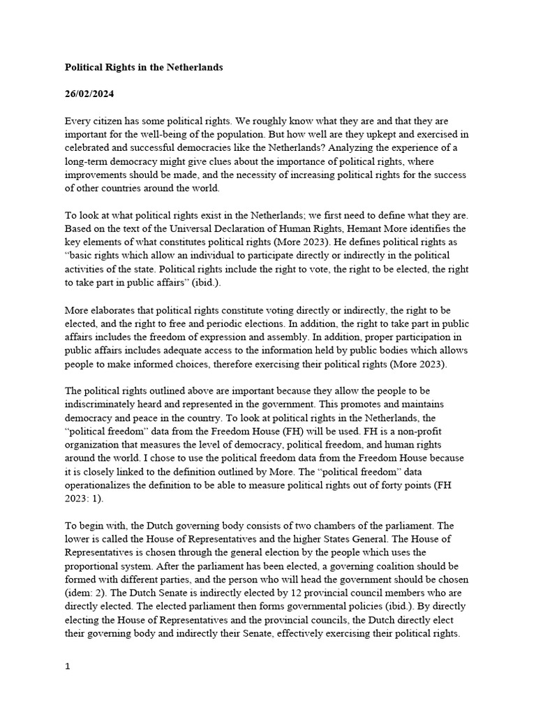 Political Rights Overview in the Netherlands | PDF | Elections | Democracy