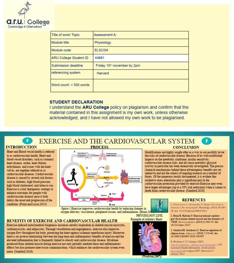 Physiology Poster Final | PDF