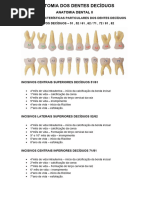 Anatomia Dentária dos Caninos | PDF | Dente humano