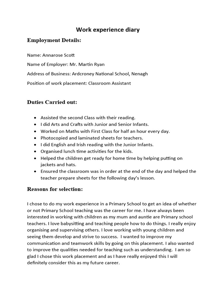 Work Experience Diary (2) | PDF