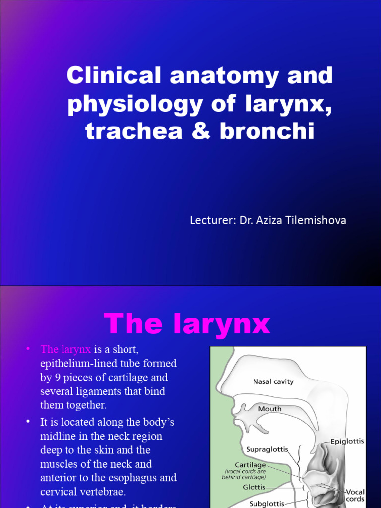 15 Larynx | PDF | Foreign Language Studies | Wellness