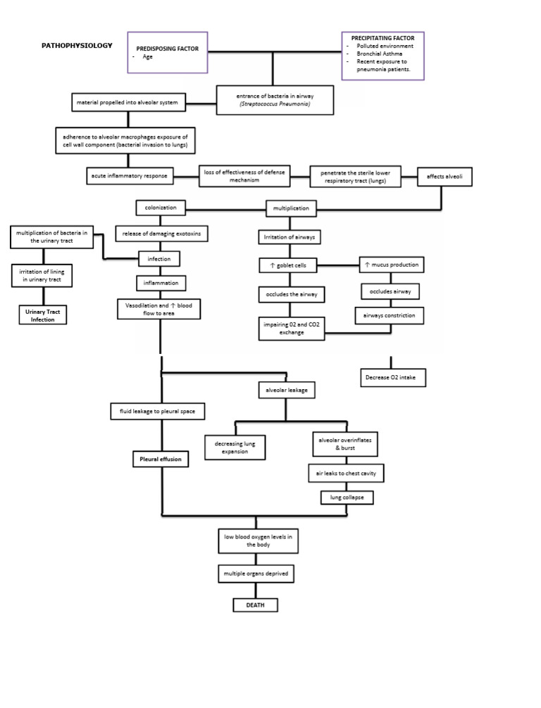 Community Acquired Pneumonia Pathophysiology | PDF | Respiratory Tract ...
