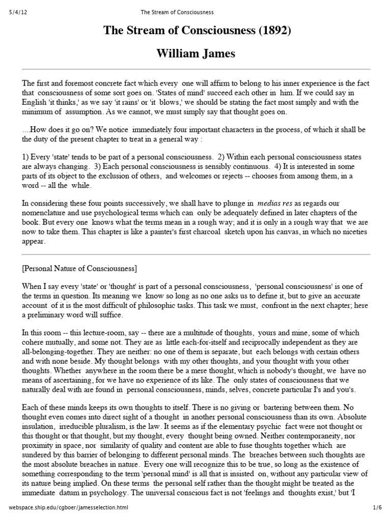 Stream of Consciousness Analysis | PDF | Business