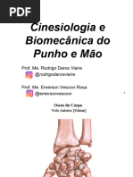 Aula 6 Ossos, Músculos, Inervação e Vascularização Do Punho e Mão | PDF ...