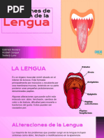Microglosia y Macroglosia | PDF | Inflamación | Lengua