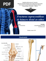 Clasificacion de Gartland 2 | PDF | Sistema musculoesquelético