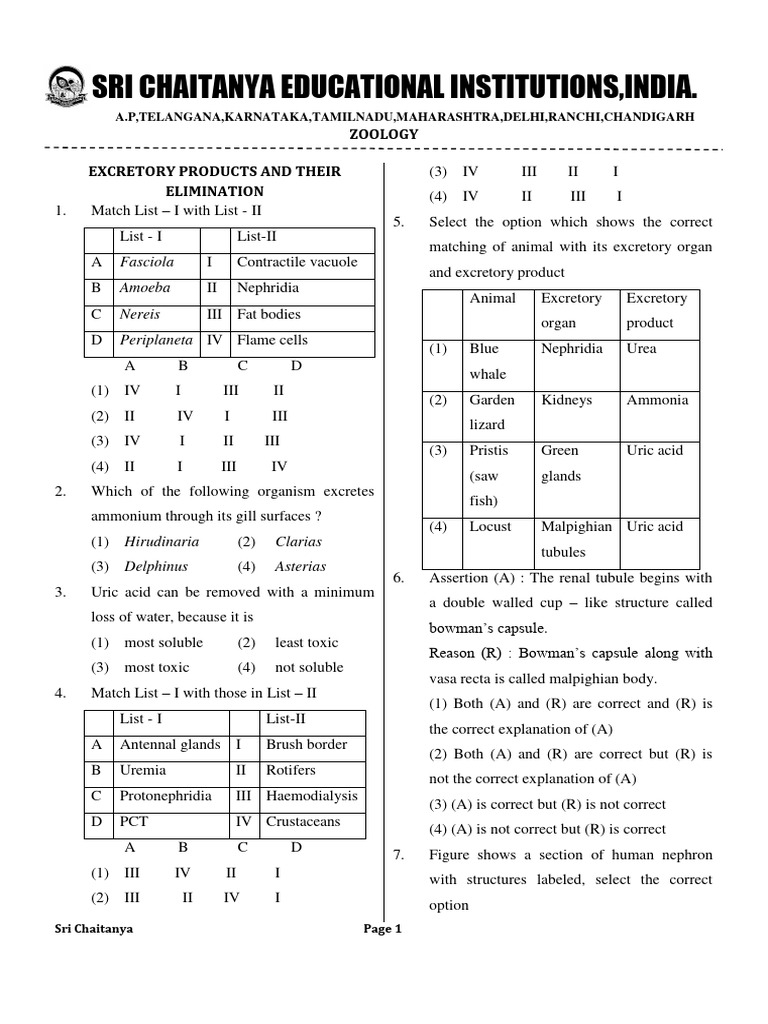Zoology Assignment | PDF | Ventricle (Heart) | Atrium (Heart)
