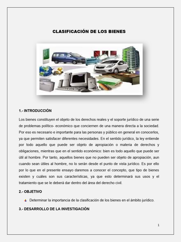 Clasificacion de Los Bienes | PDF | Ciencias sociales