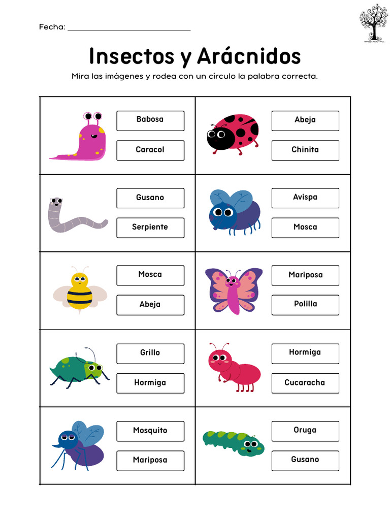 Insectos y Arácnidos | PDF