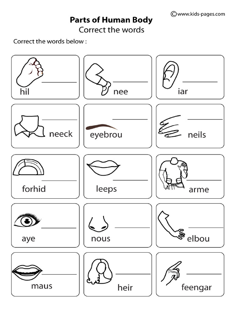 Body Words Correction B&W | PDF