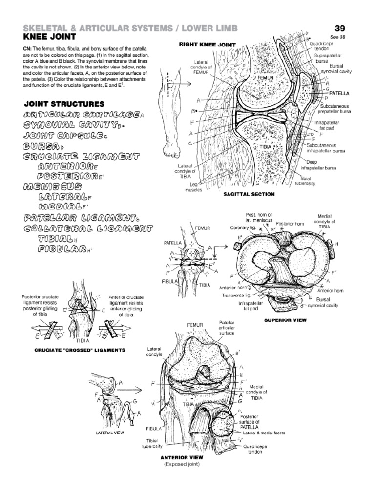 Finals Lab Activity 2 | PDF