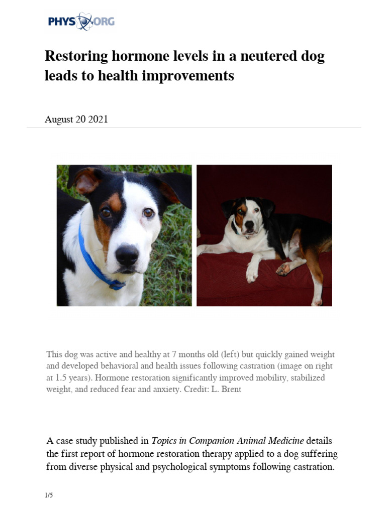Hormone Neutered Dog Health | PDF | Neutering | Luteinizing Hormone