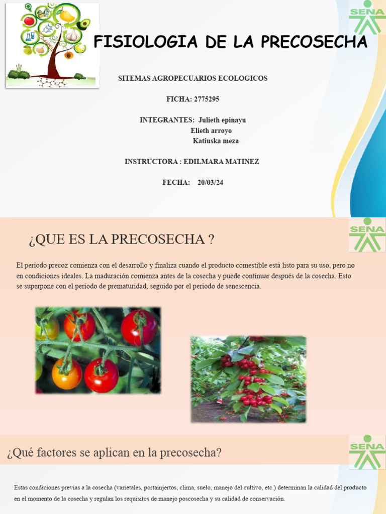 WPS Slides Quick Start Guide.1710460299565 | PDF | Cosecha | Fruta WPS Slides Quick Start Guide.1710460299565 | PDF | Cosecha | Fruta