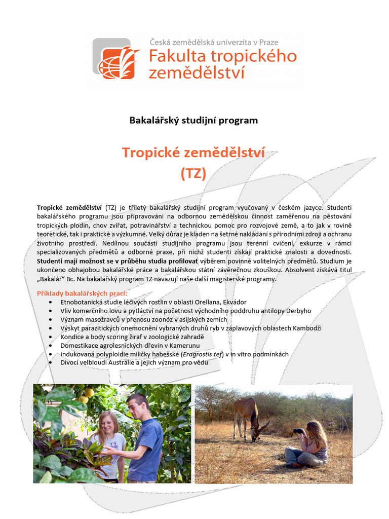 TZ Web | PDF