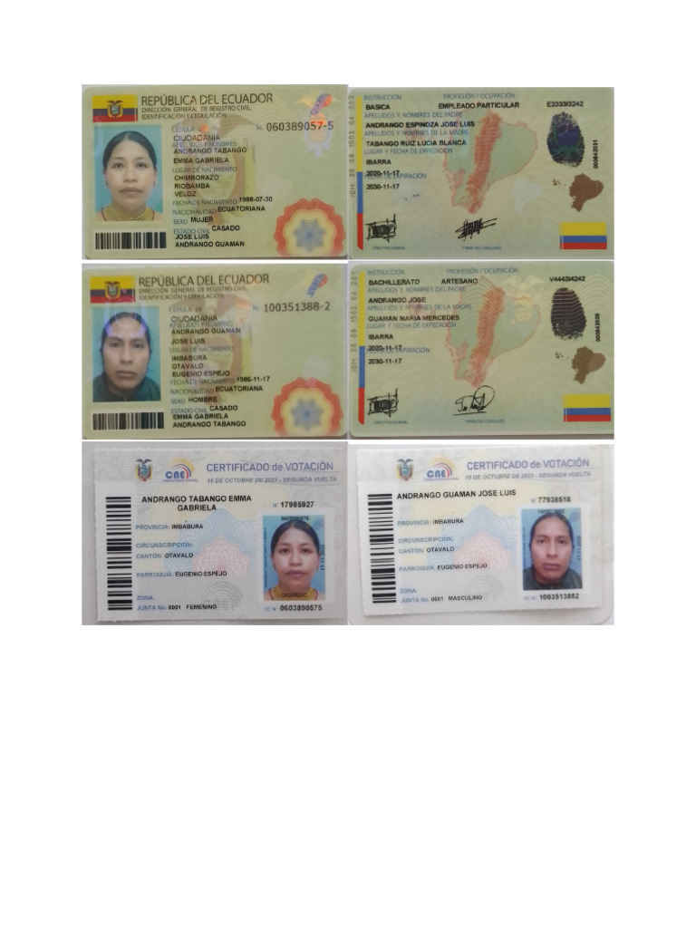 Cédulas y Votacion 2024 | PDF