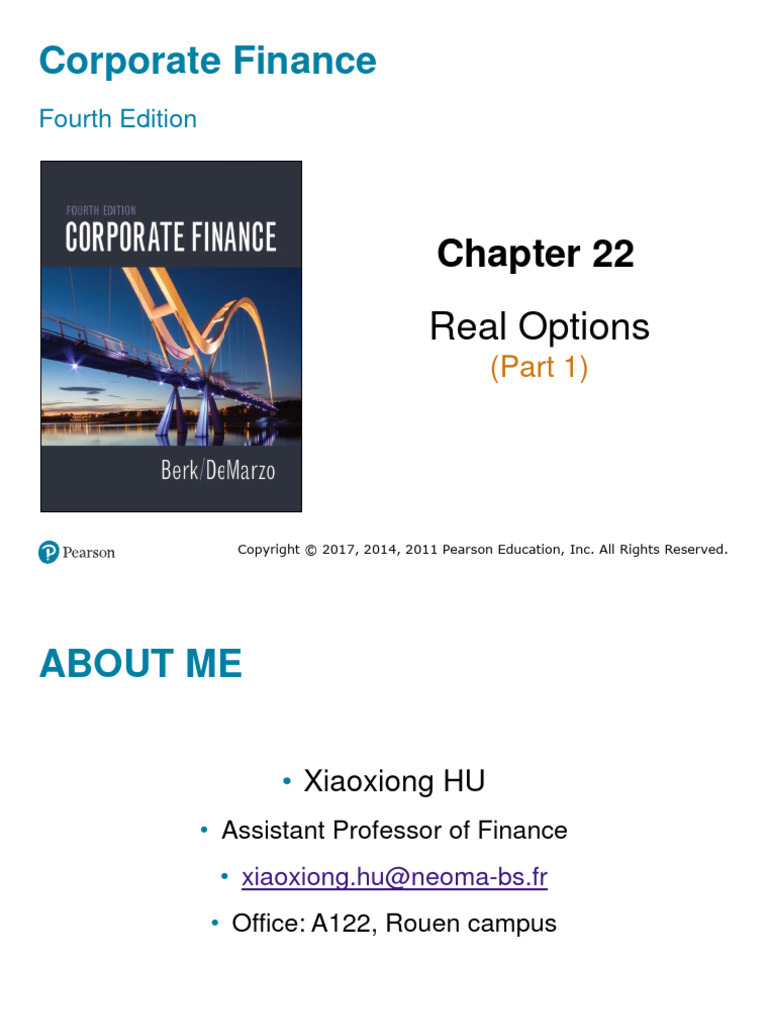 RealOptions Part1 hxx2024 | PDF