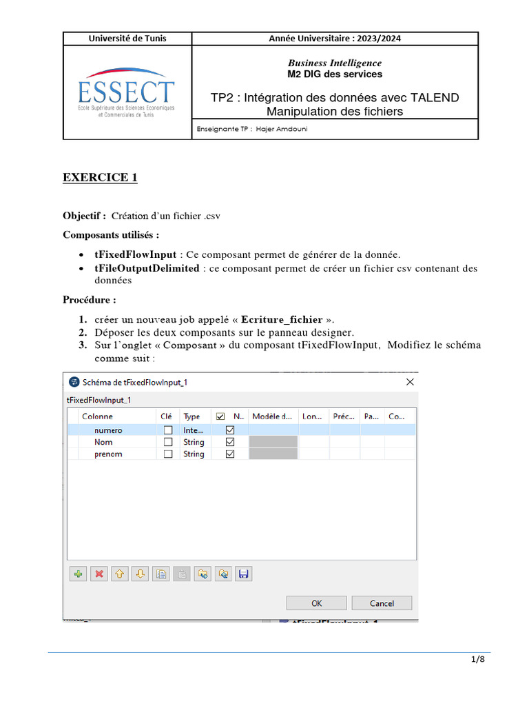Tp2 Talend Open Studio | PDF | Fichier informatique | Métadonnées