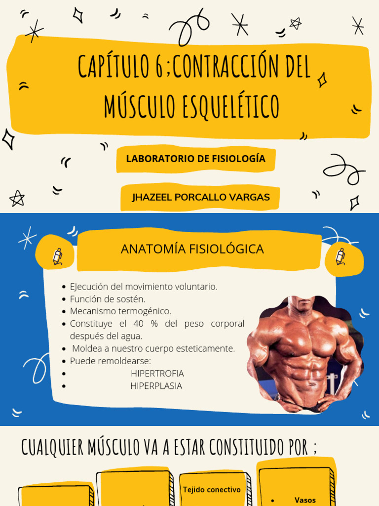 Capitulo 6 Contraccion Del Musculo Esqueletico Pdf Contracción