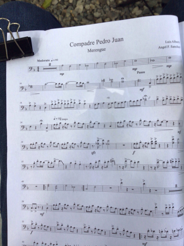 Compadre Pedro Juan | PDF