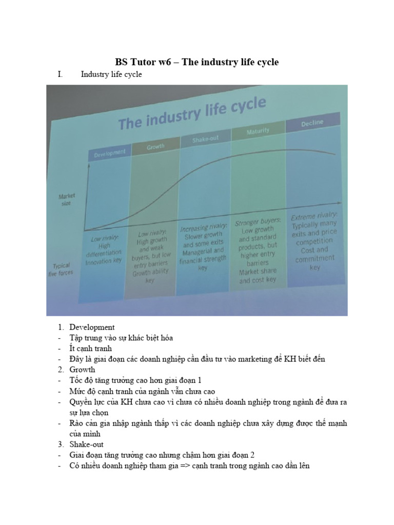 BS Tutor w6 - Industry Life Cycle | PDF