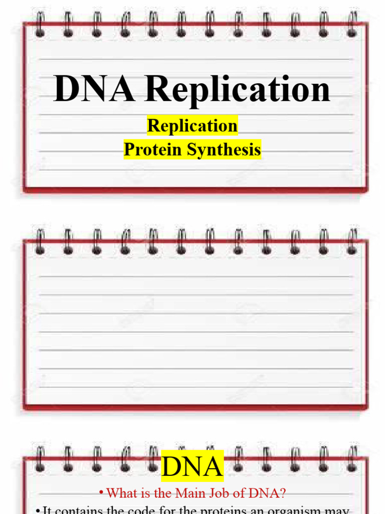 DNA Replication and Protein Synthesis Guide | PDF | Wellness | Science ...