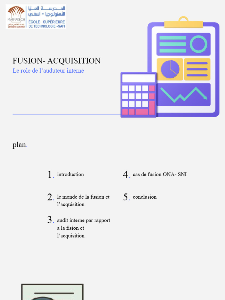Audit d'Acquisition en Fusion-Acquisition | PDF | Fusions et acquisitions | Économie