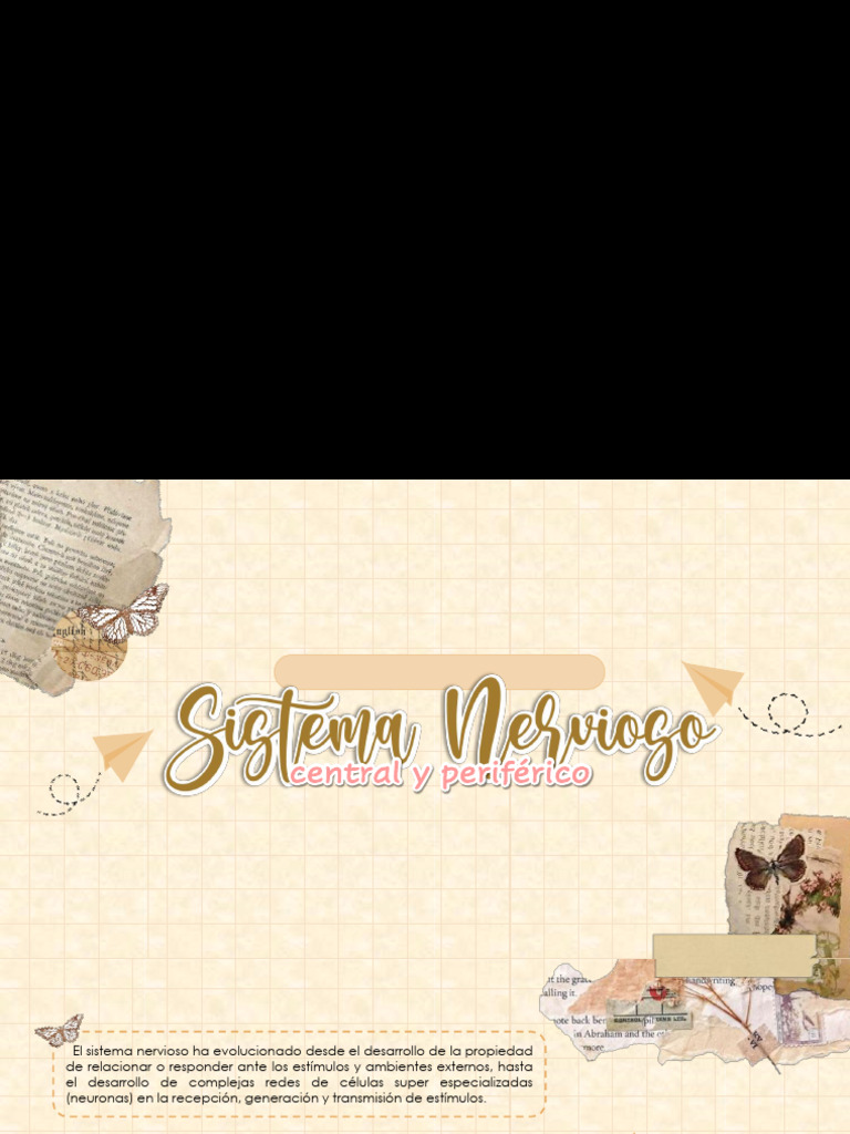 Vacuolas Ev Bels | PDF | Neurona | Sistema nervioso