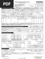 Plantilla AutoDeterminación TSS | PDF