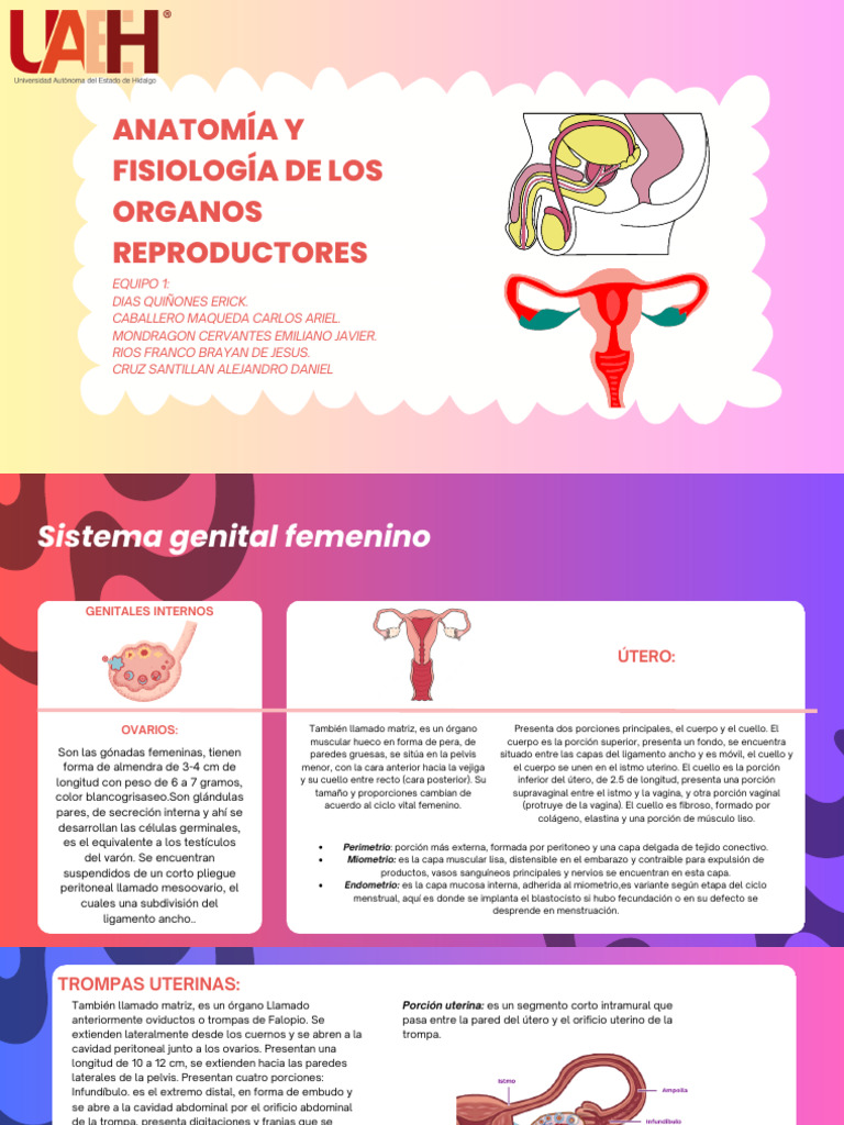 ANATOMÍA y FISIOLOGIA de Los Organos Reproductores | PDF | Labios | Reproducción