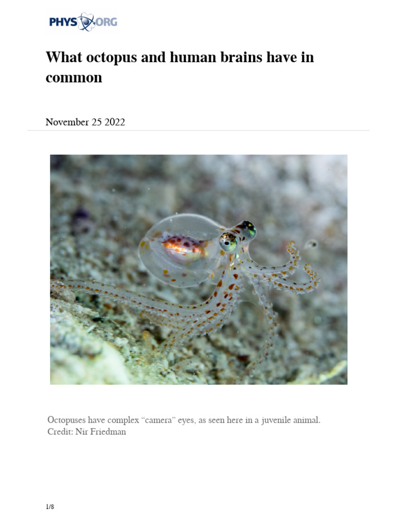2022 11 Octopus Human Brains Common | PDF | Rna | Micro Rna