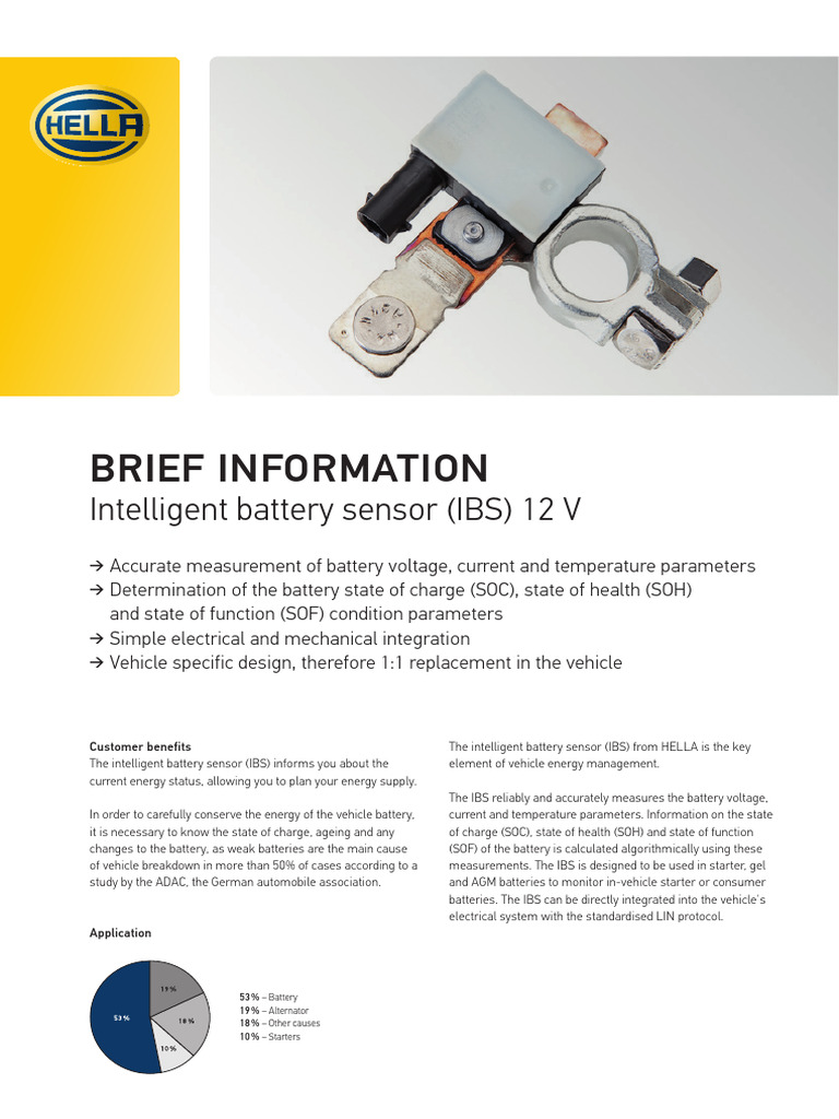 J01213 - Intelligent Battery Sensor (IBS) 12 V | PDF
